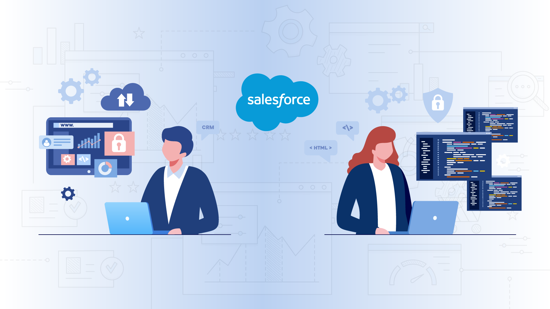 The Complete Guide to Salesforce Professional Edition – Fidizzi